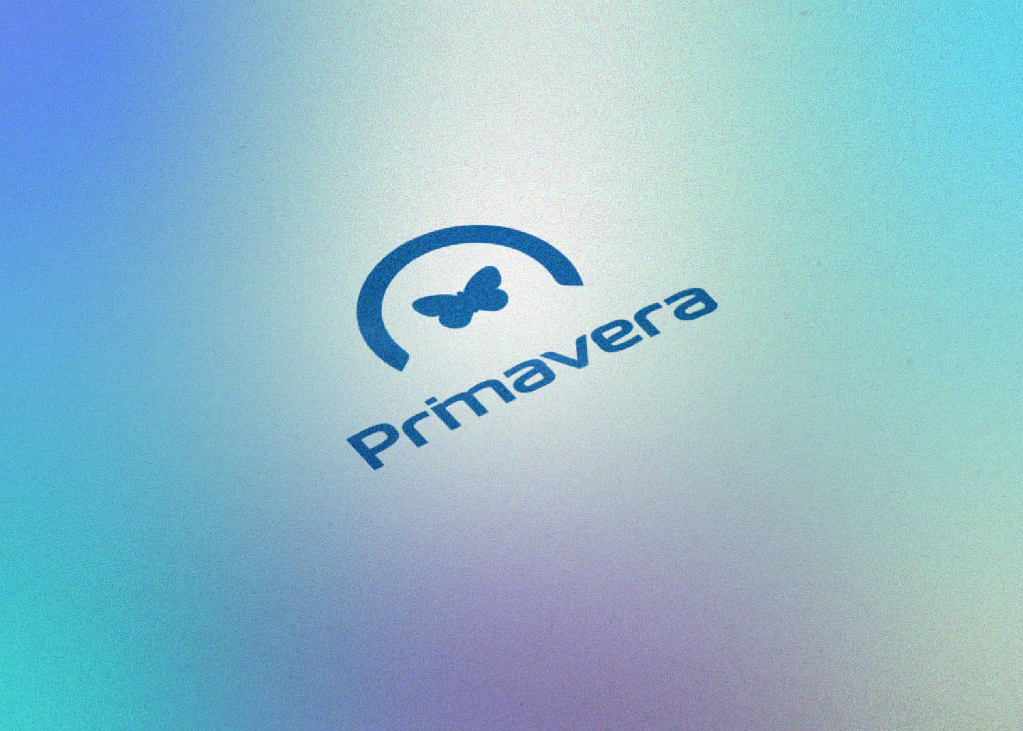 Primavera: software português que domina o mercado corporativo Moçambicano
